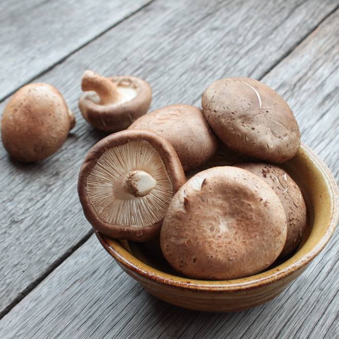 レンジで作る「しいたけ」の絶品おつまみレシピ5選♪簡単！秋の家飲みにぴったり！ | 4yuuu