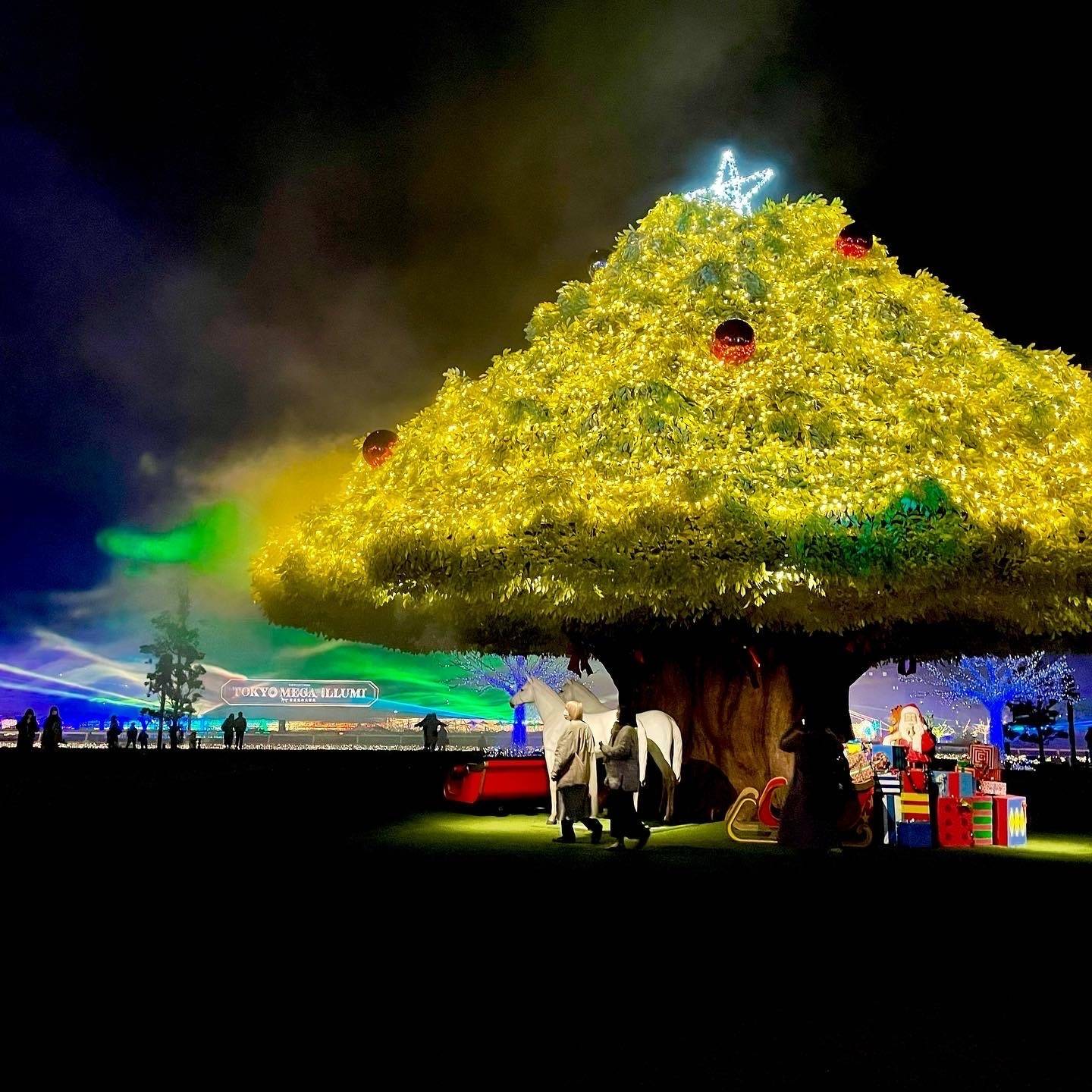 【関東】穴場もご紹介！絶景イルミネーションスポット12選【2024-2025最新】 | 4yuuu