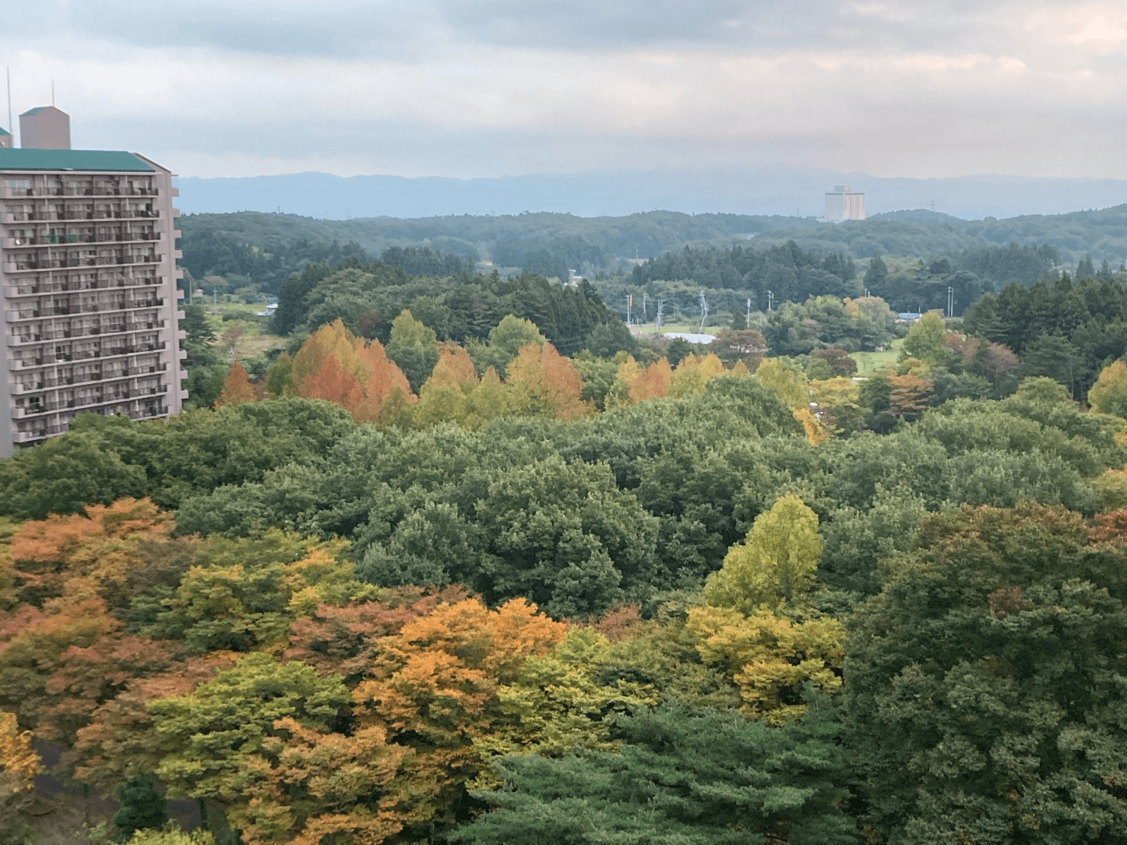 【関東】温泉＆温水プールのある施設＆ホテル10選〜秋冬春・雨の日でも楽しめる！〜 | 4yuuu