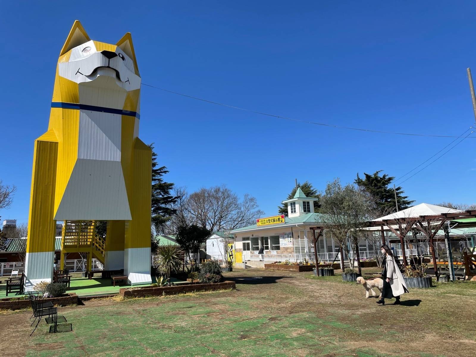 【愛犬とお出かけ】茨城のおすすめスポット10選♡ペット連れOK！日帰りも宿泊プランも！ | 4yuuu