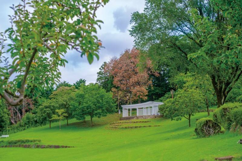 【神奈川】犬連れOKのおすすめスポット8選♪公園・ドッグラン・カフェ・雨でも遊べる屋内施設【愛犬とお出かけ】 | 4yuuu