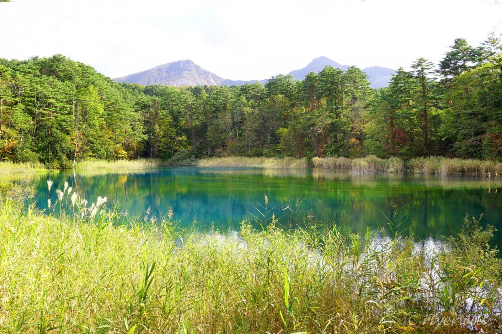 【東北】おすすめ「パワースポット」9選！最強の神社や大自然を訪れて運気UP！ | 4yuuu