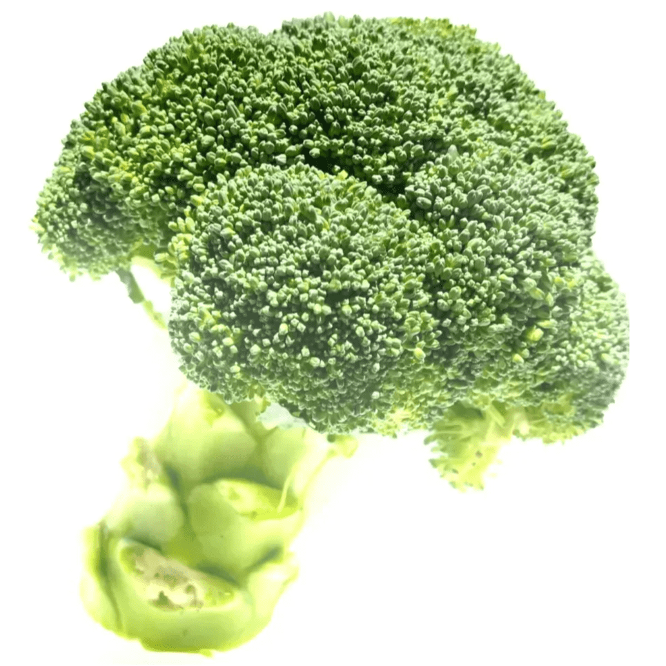 【管理栄養士直伝】ブロッコリーの栄養は？保存方法や消費レシピも紹介 | 4yuuu