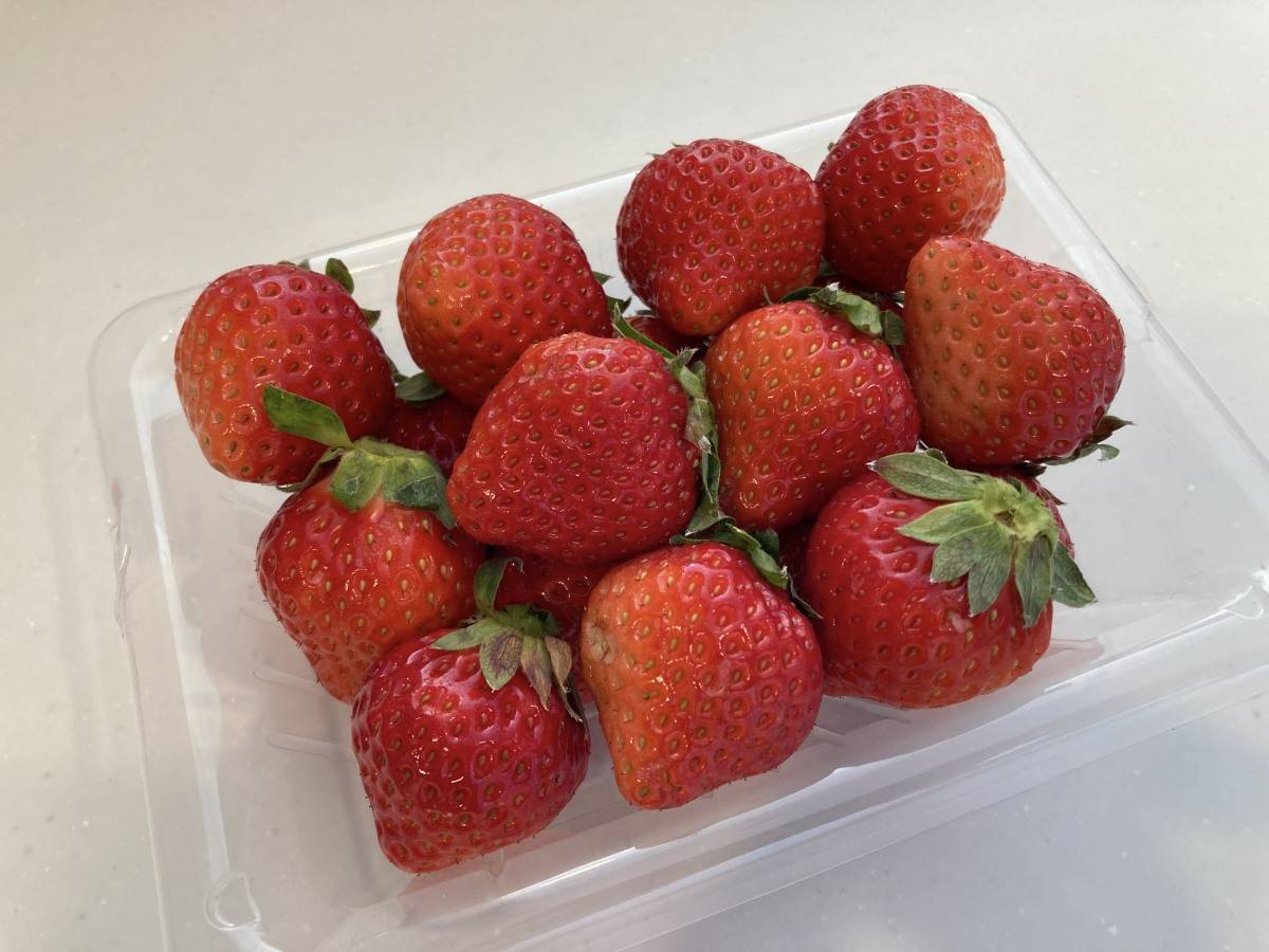 【裏ワザ】砂糖と塩で簡単！酸っぱいイチゴを甘くする2種類の方法を試してみた | 4yuuu